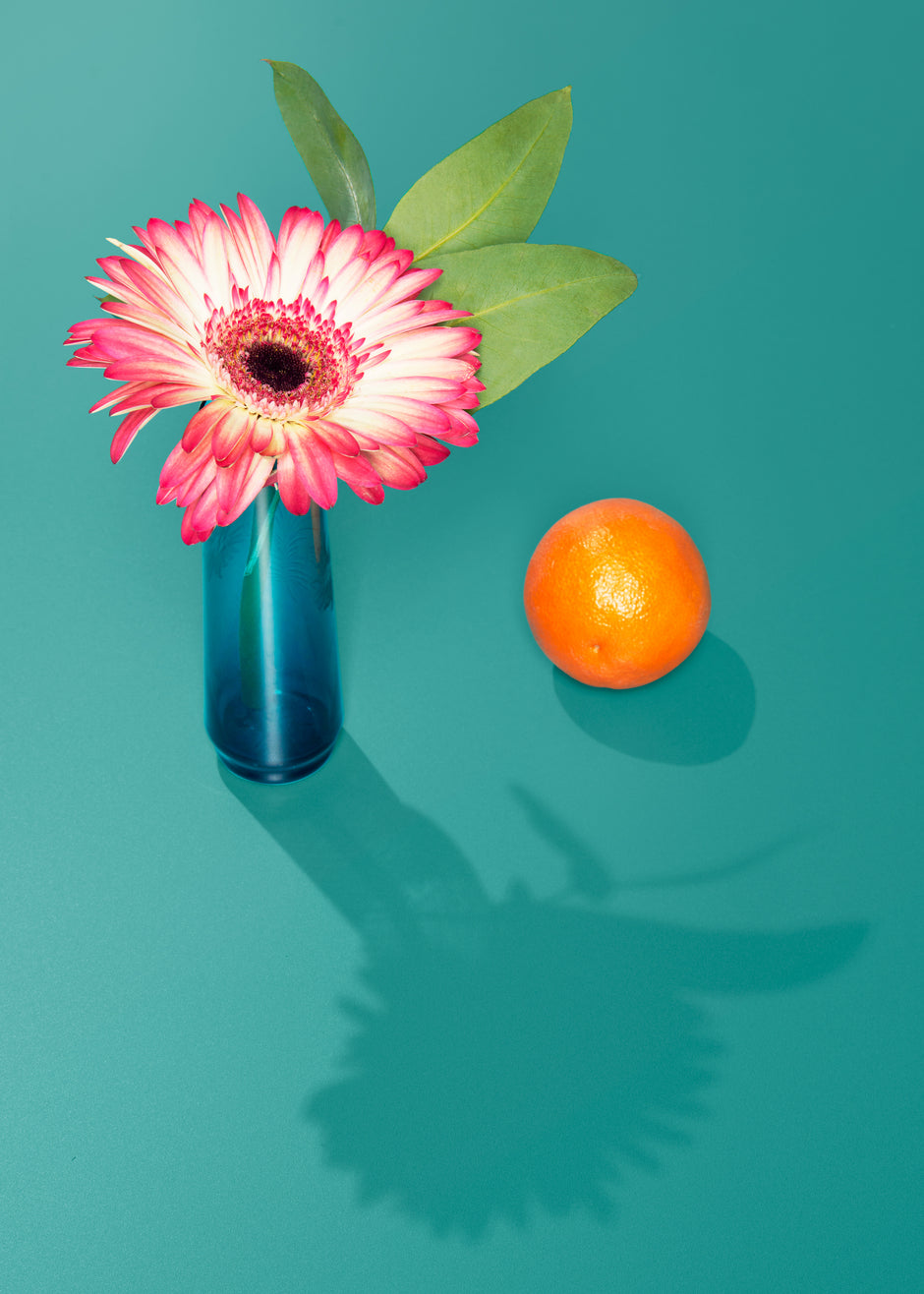 Block Colour Vinyl Backdrops – Club Backdrops